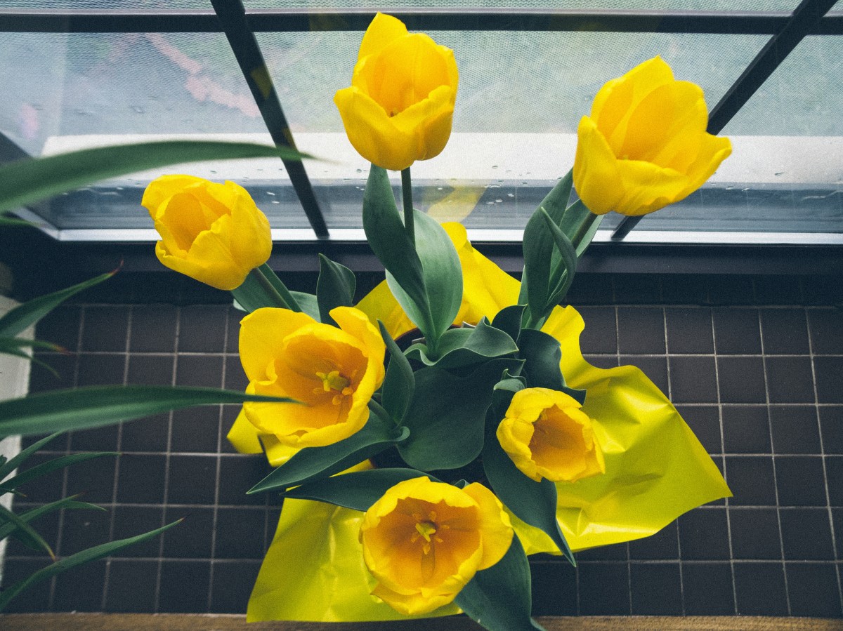 Overlapping Thoughts: Vol. One – The Overlap